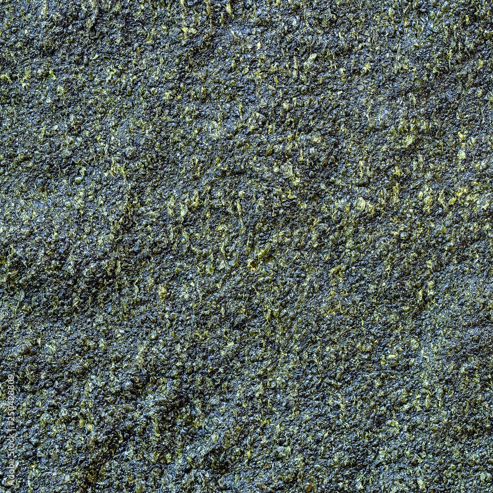 Dried Seaweed Texture