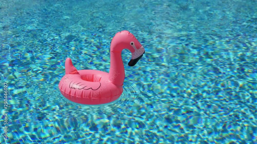 Inflatable toy of pink flamingo in swimming pool at poolside, nobody ...