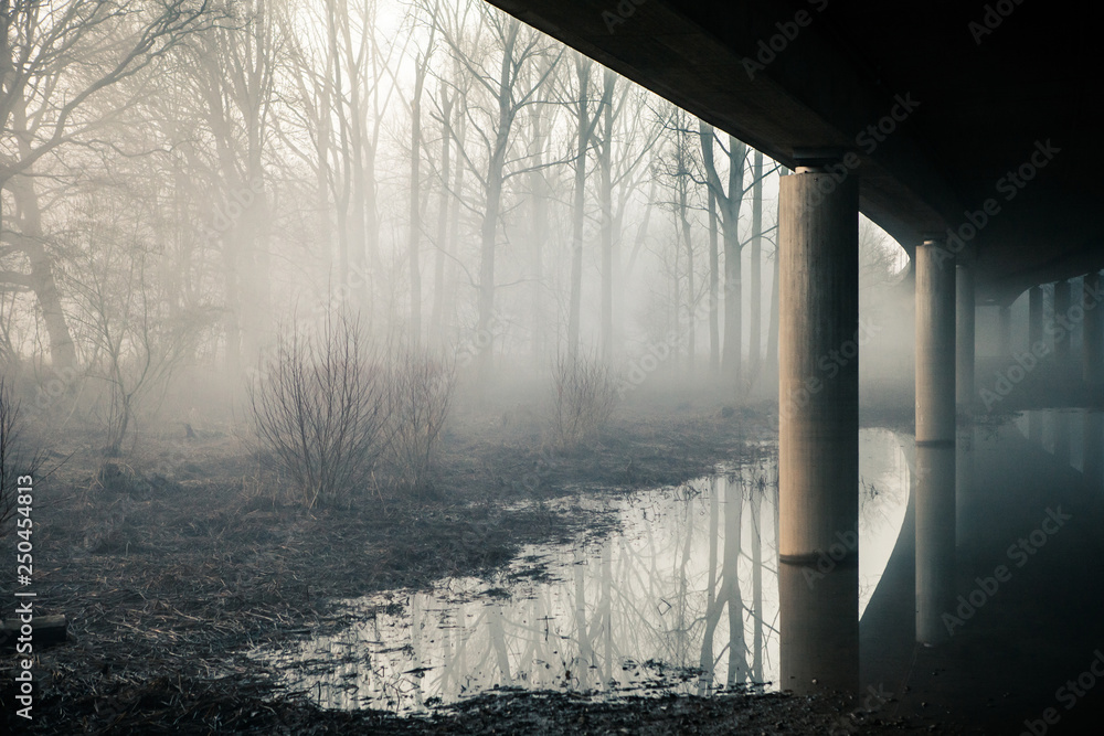 Damaged bridge. Misty afternoon under a bridge. Light colours and some ...