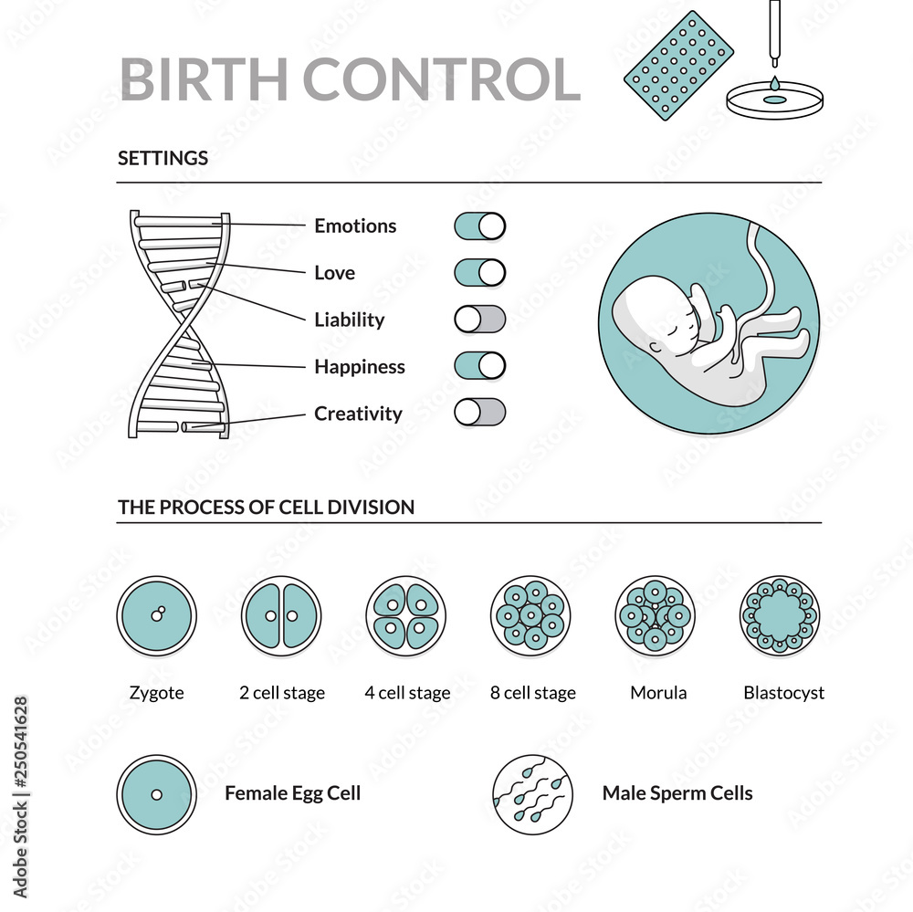 Human Fetus DNA settings & process of cell division. Futuristic ...