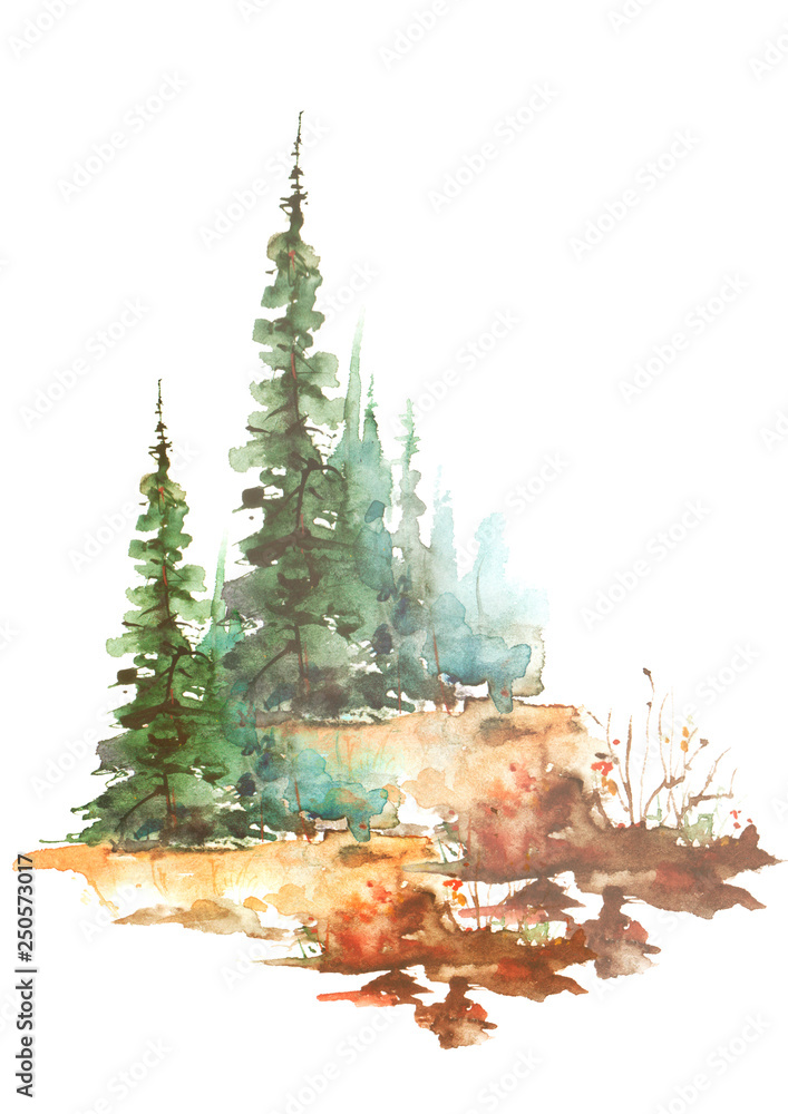Watercolor trees, forest, pine, green spruce, landscape. Summer forest ...