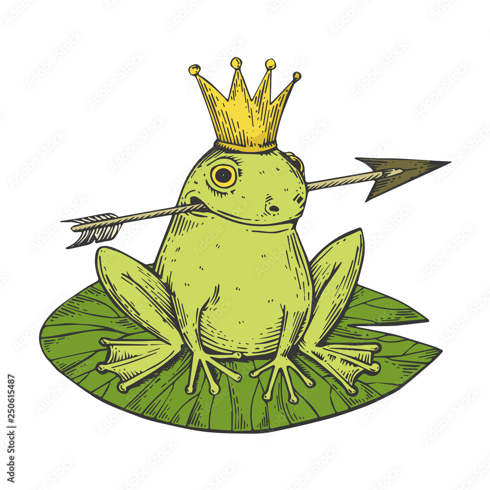 Princess Frog fairy-tale animal color sketch engraving vector ...