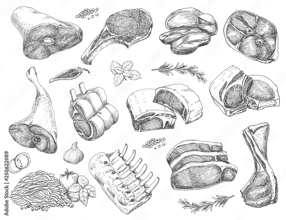 Vector set of different meats in sketch style Stock Vector | Adobe Stock