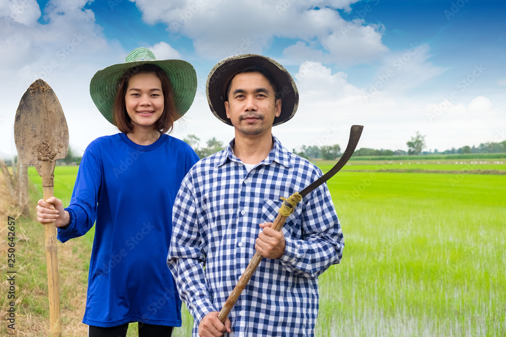Asian Rice Farmers