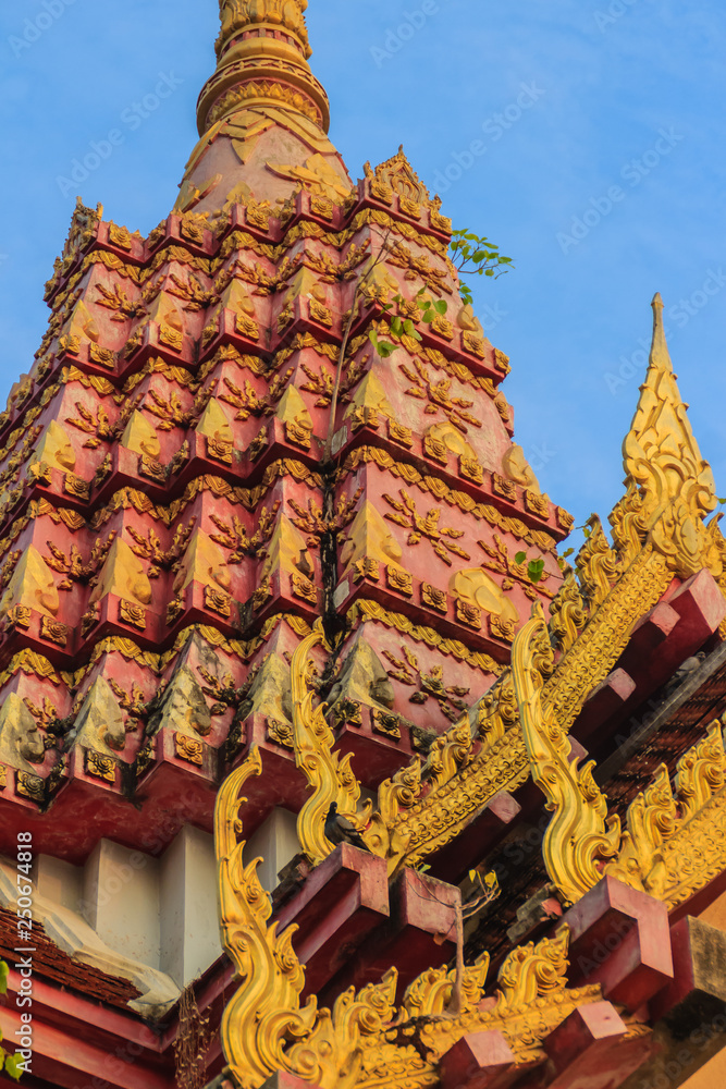 Little green bodhi tree growing up on top of golden pagoda under blue ...