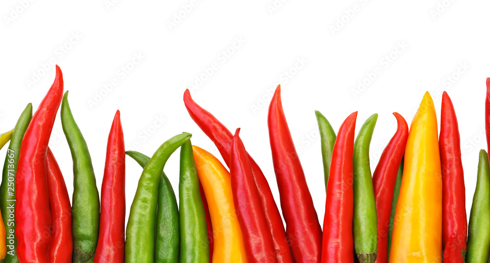 Chili Peppers Border