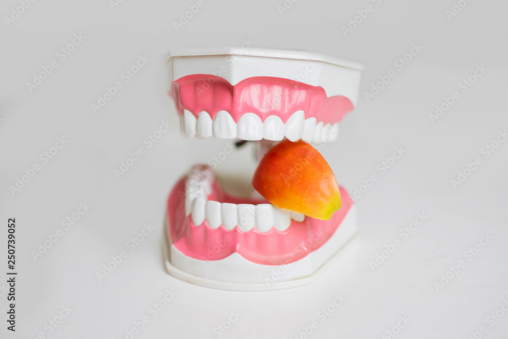 Dental big jaw with snow-white teeth holds a piece of yellow apple ...