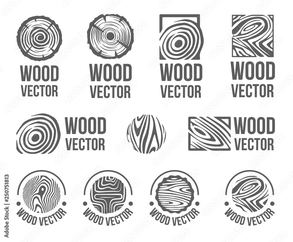 Vector Hand drawn sketch of abstract wood texture illustration on white ...