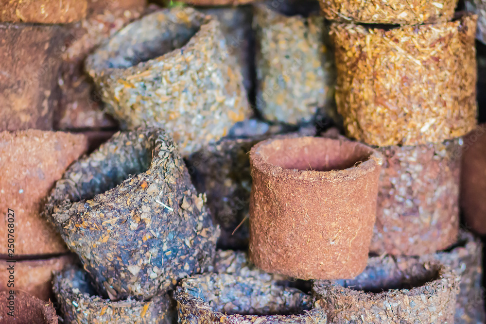 Biodegradable pots made from peat moss that combined with shredded and ...