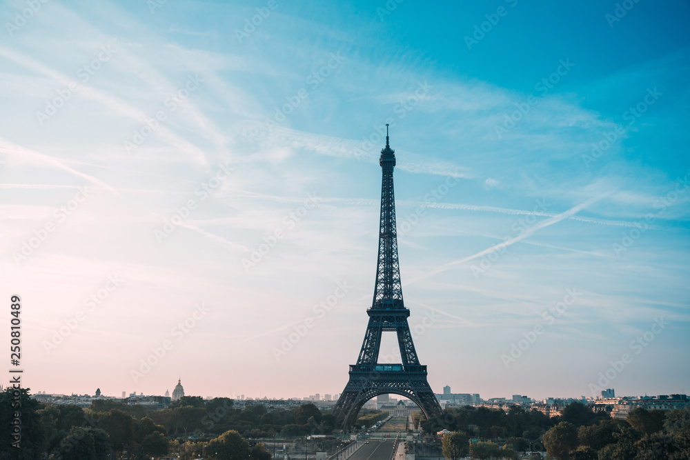 The Eiffel Tower (nickname La dame de fer, the iron lady),The tower has ...