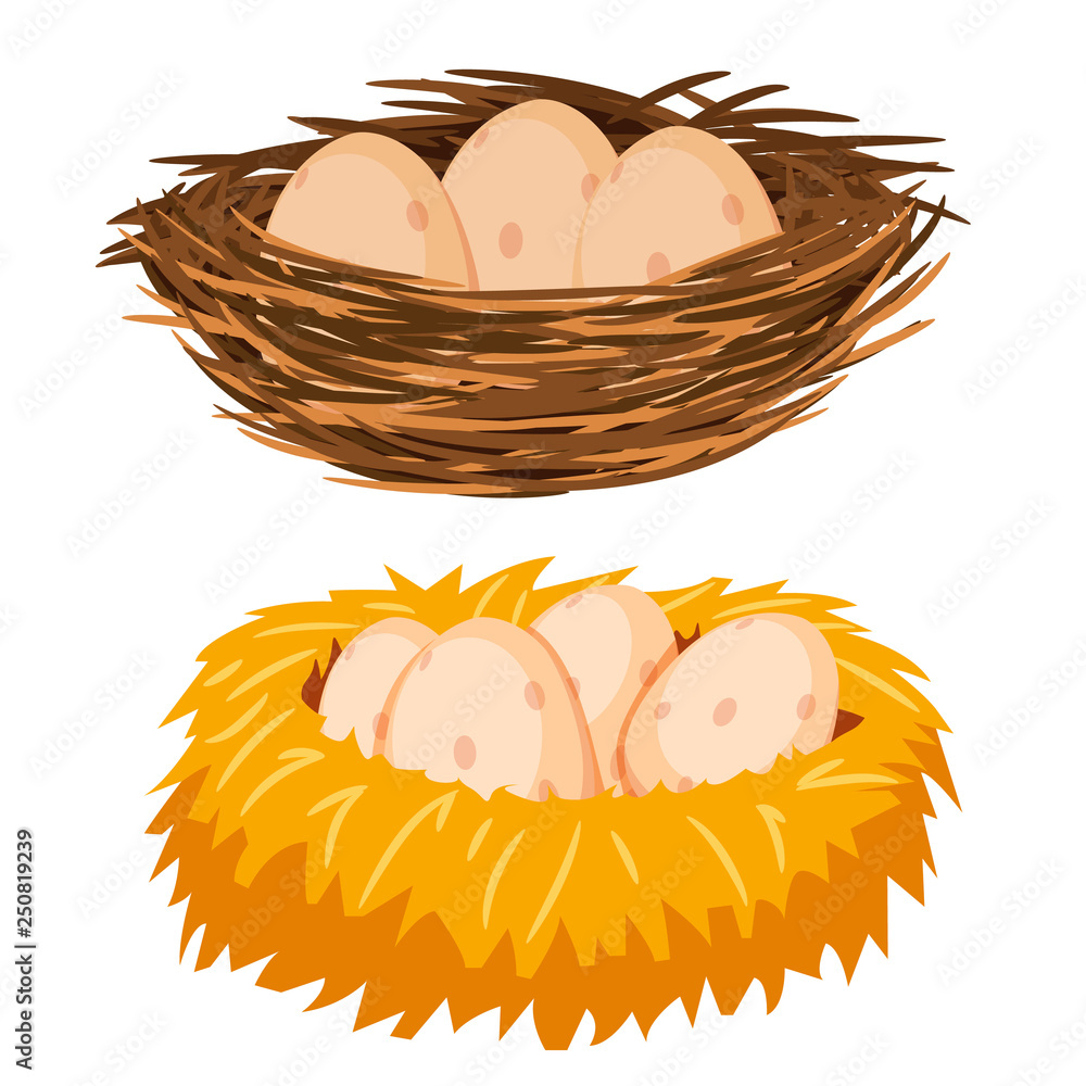 Eggs in the nest Stock Vector | Adobe Stock