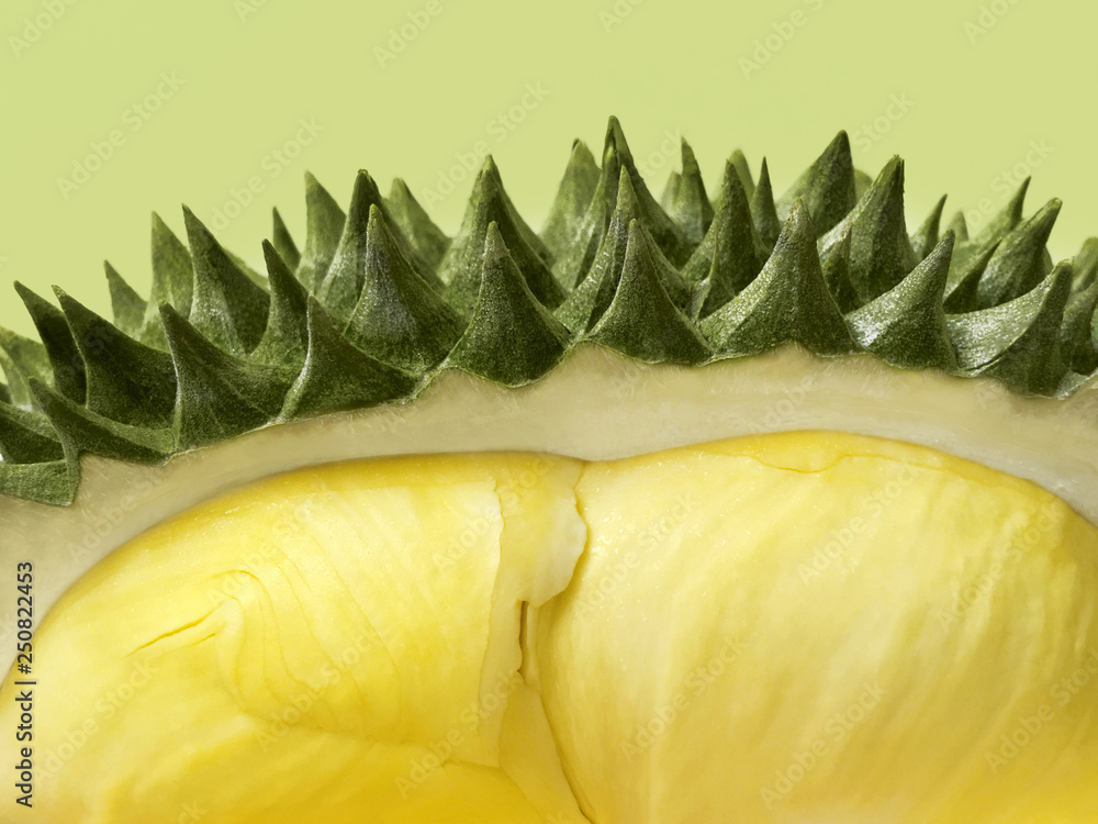 Fresh cut durian on a pastel green background, king of fruit from ...