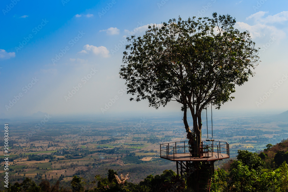 Tree of love in heart shaped with the green valley, blue sky and ...