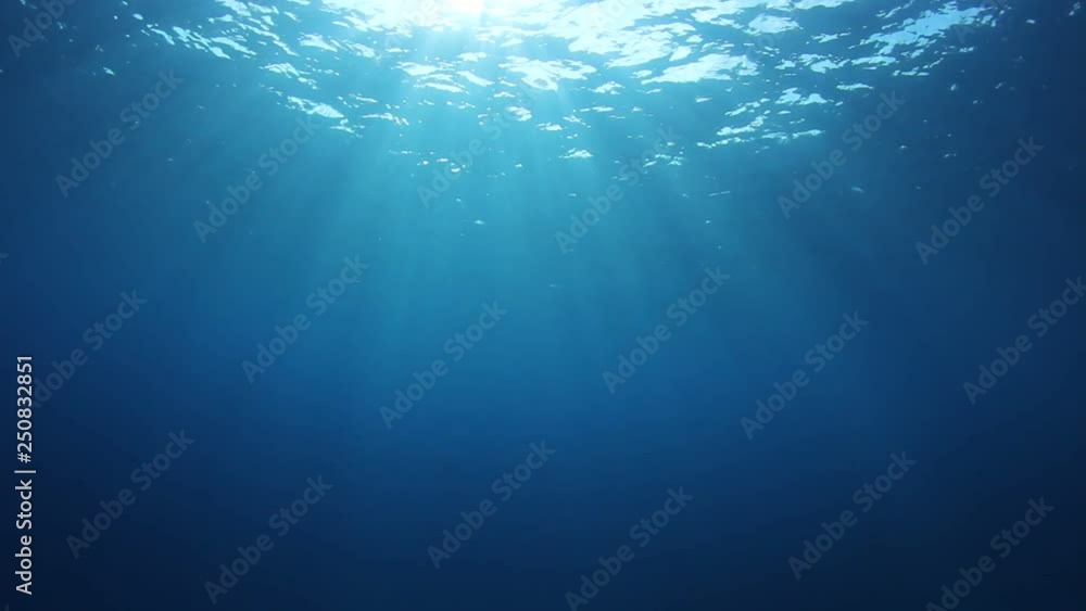 Underwater video in ocean Stock Video | Adobe Stock