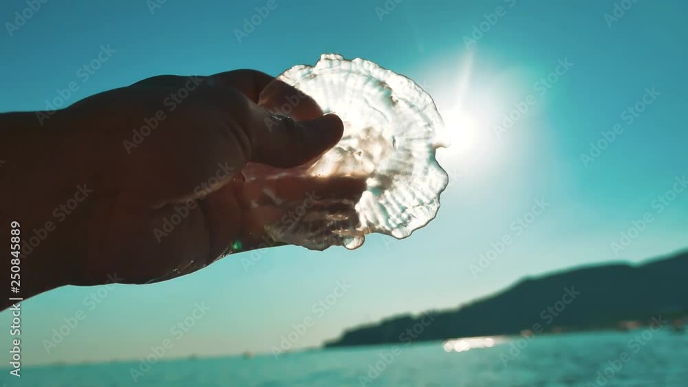 Vidéo Stock jellyfish on beach sunset background.jellies shines through ...