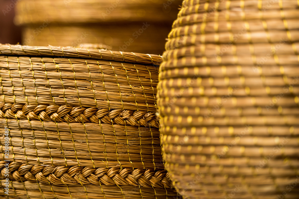 capim dourado em detalhes Stock Photo | Adobe Stock