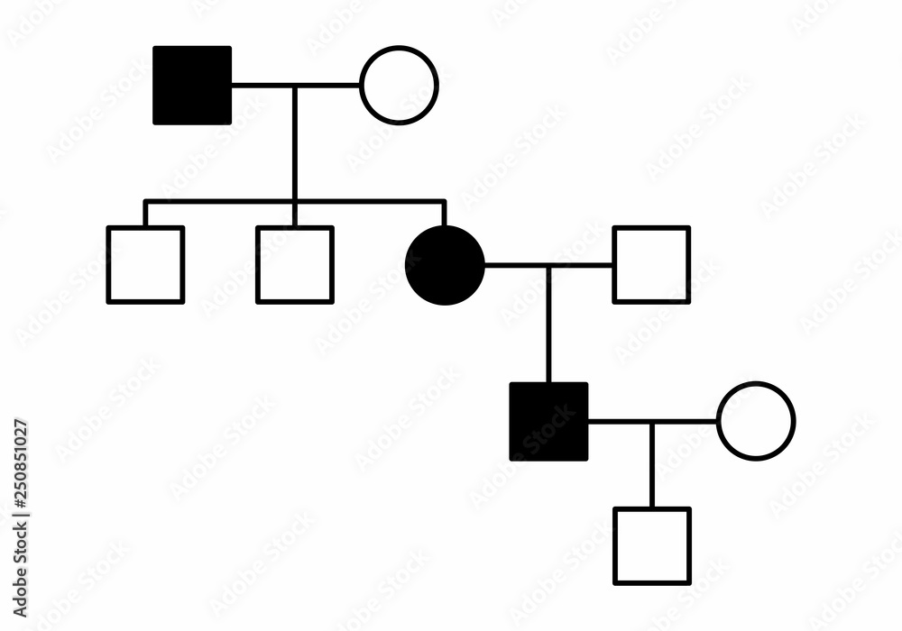 Simple family diagram illustration Stock Vector | Adobe Stock