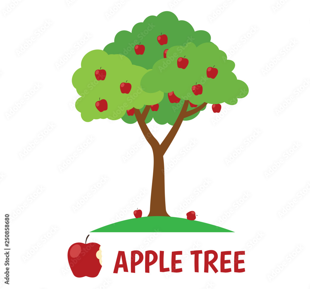 Vector Illustration of apple tree isolated on white background Stock ...