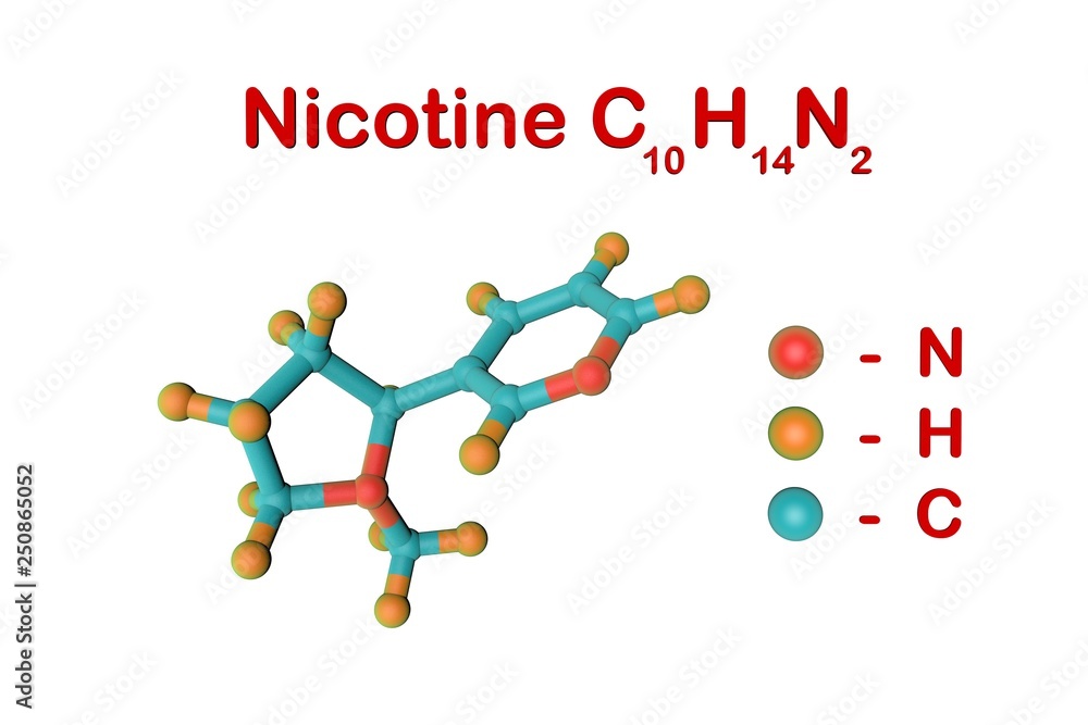 Molecular structure of nicotine, a plant alkaloid present in tobacco ...
