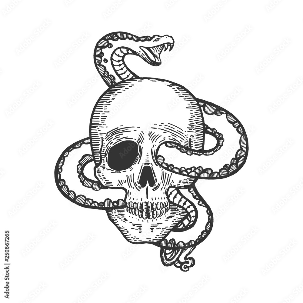 Snake in human skull sketch engraving vector illustration. Scratch ...