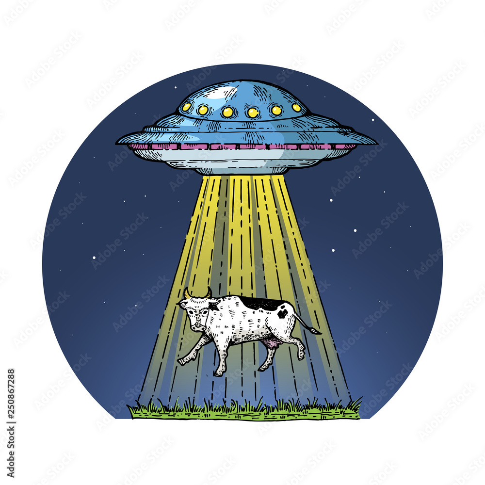 UFO kidnaps the cow color sketch engraving vector illustration. Scratch ...
