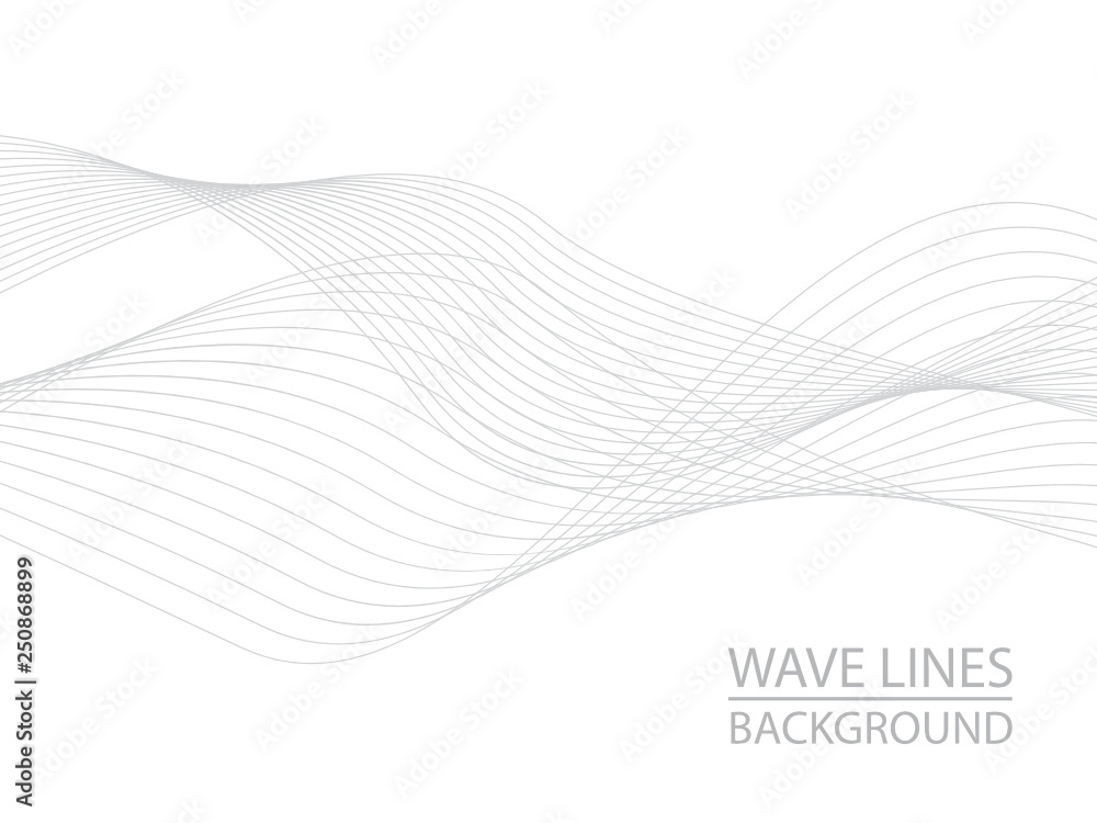 Abstract gray wave lines on white background. Can be used presentation ...