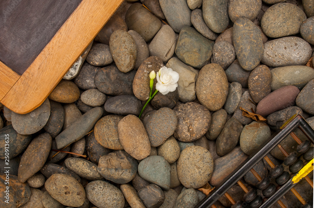 Slate, abacus placed on granite with white flowers in the middle Stock ...
