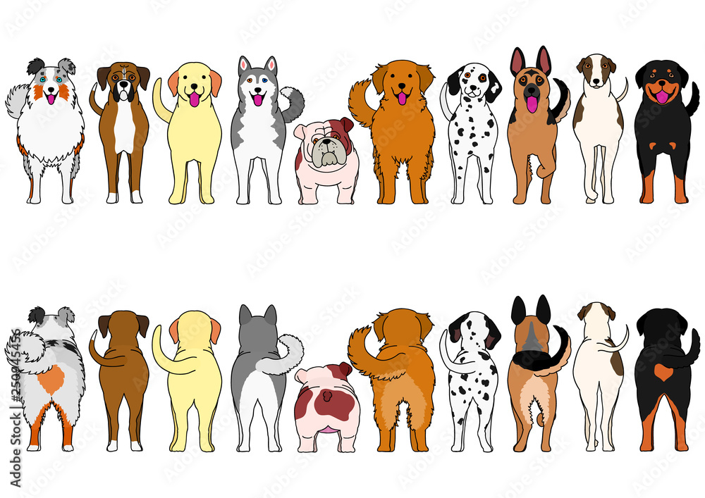 dogs breed border set with color Stock Vector | Adobe Stock