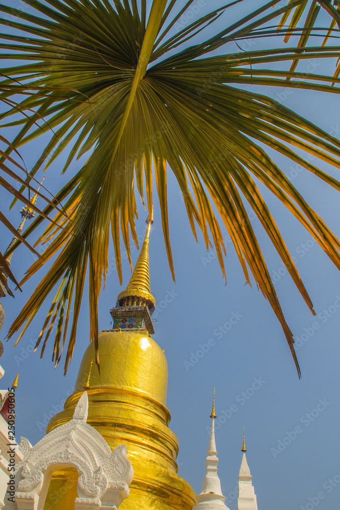 Beautiful golden and white pagodas in Sri Lankan style at Wat Suan Dok ...