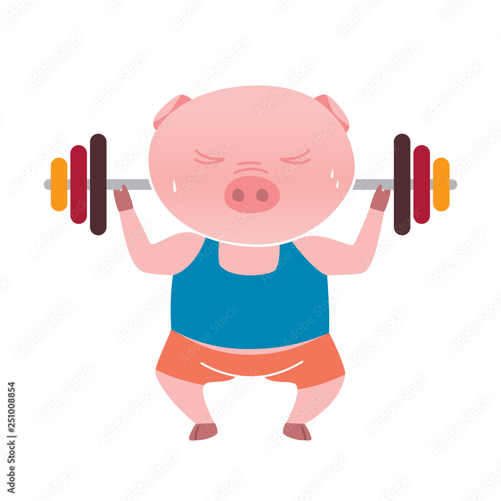 Vector pig cartoon character lifting weights isolated on white ...