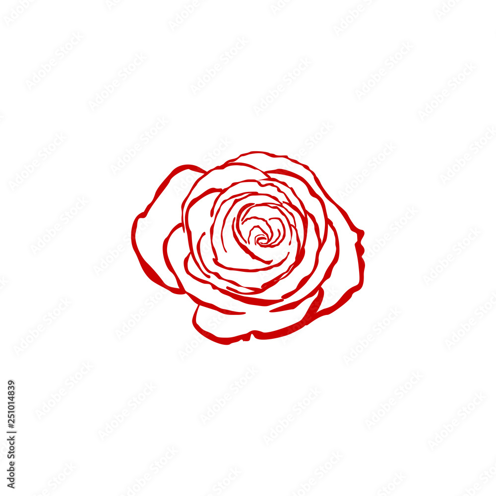Cool Rose Designs