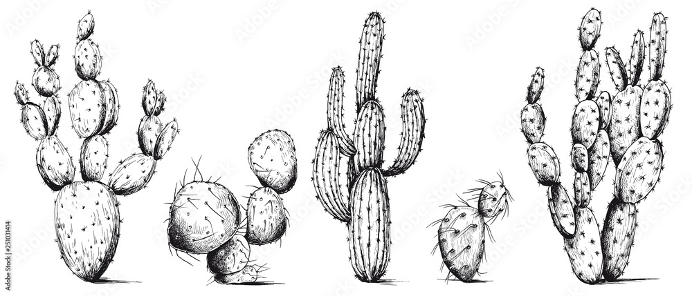 Cactus Vector Black