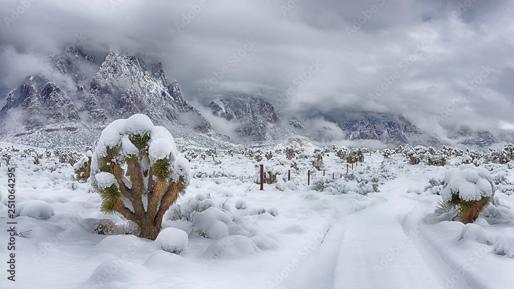 Desert Snow Storm with Low Hanging Clouds Stock Photo | Adobe Stock