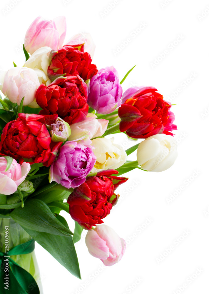 Fresh tulips flowers Stock Photo | Adobe Stock