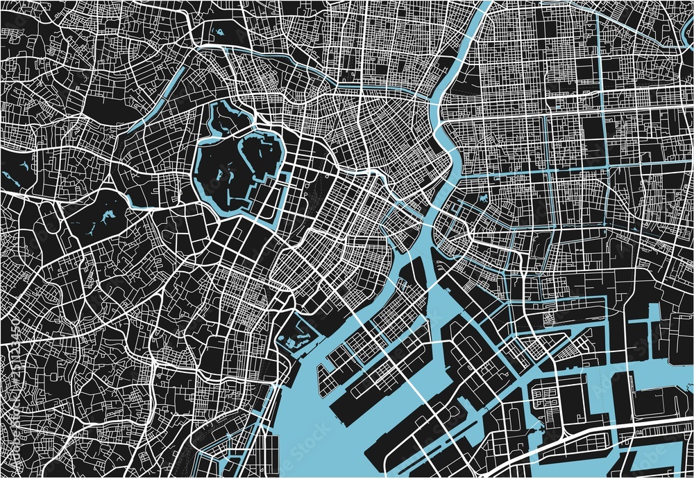 Black and white vector city map of Tokyo with well organized separated ...