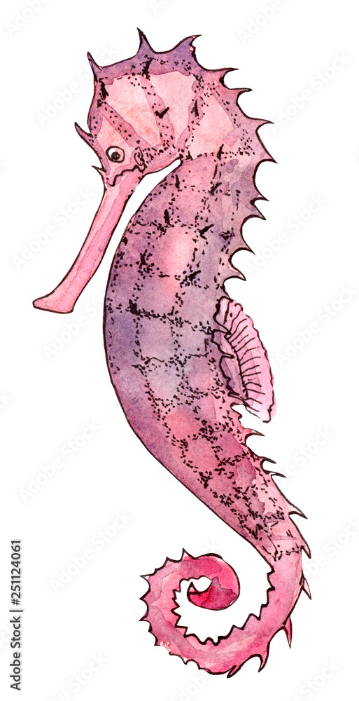 Pink Seahorse Clip Art