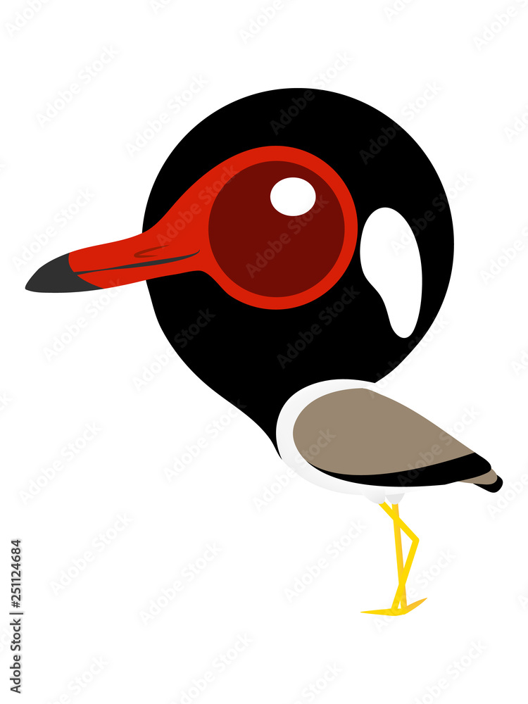 Bird cartoon, Big eyes cute bird, Red-wattled Lapwing. Stock Vector ...
