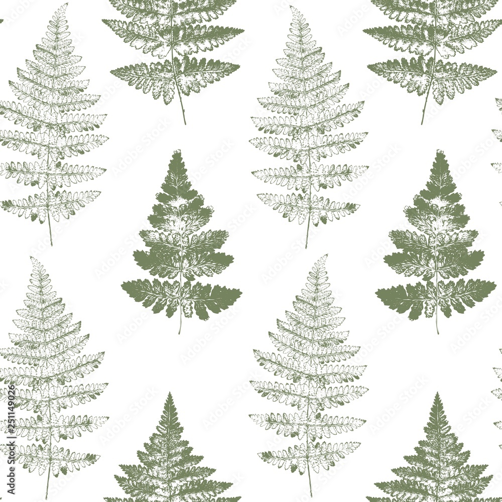 Ferns seamless pattern in vintage style. Various leaves of ferns. Vector botanical illustration ...