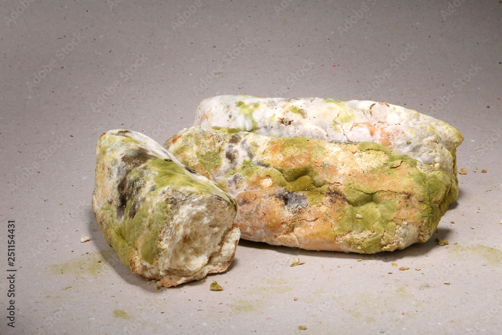 Mold on bread. Best before date has expired a long time ago with this ...