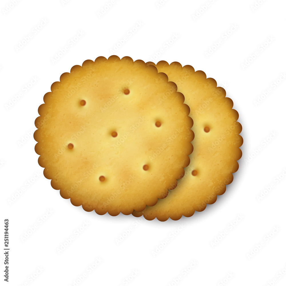 Realistic Vector 3d Round Delicious Salty Cookies Rustic, Cracker ...