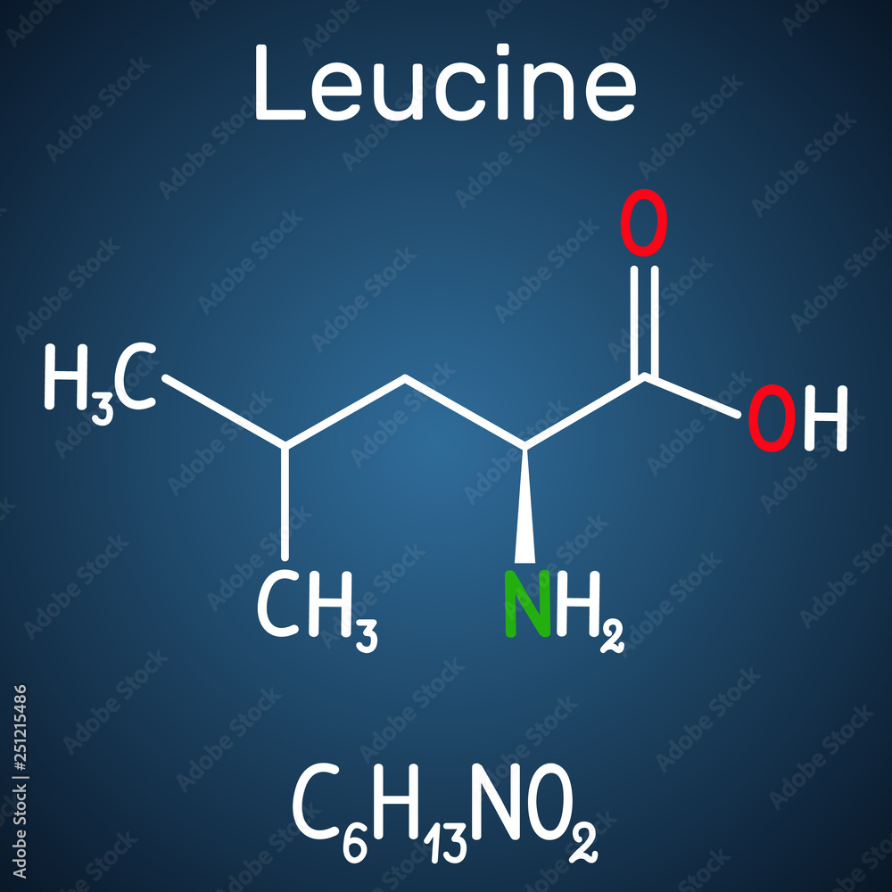 Leucine ( L- leucine, Leu, L) molecule. It is essential amino acid ...