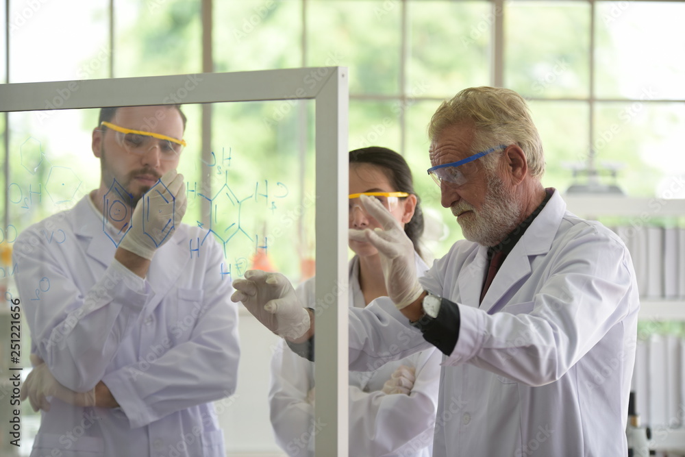 Scientists are working in science labs.Close-up of a scientistYoung ...