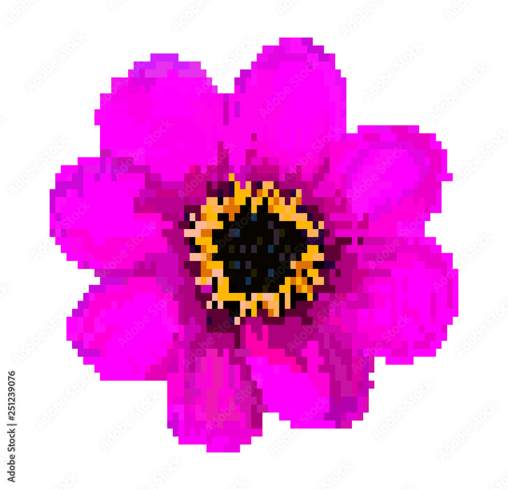 pixel field flower vector illustration isolated on white background ...