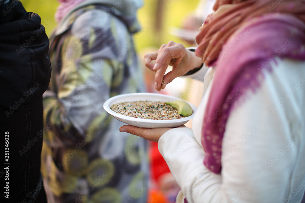 traditional indian yagya (puja), fire ritual Stock Photo | Adobe Stock