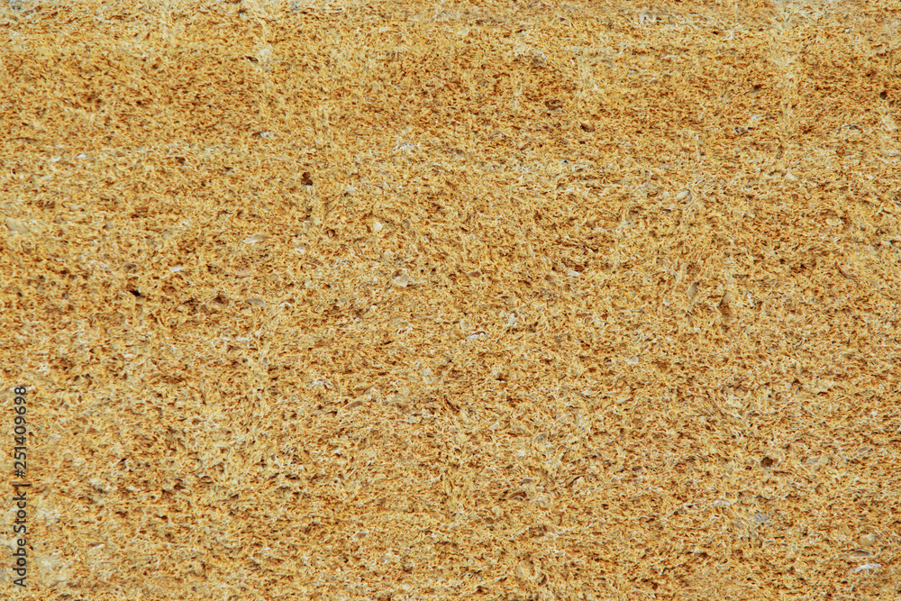 porous stone texture Stock Photo | Adobe Stock