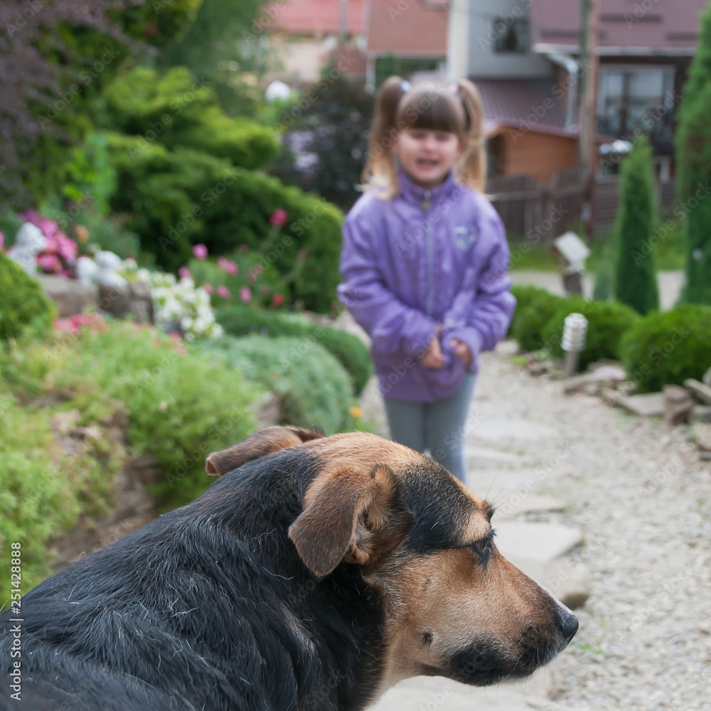 Little girl is crying being scared by a dog. Stock Photo | Adobe Stock