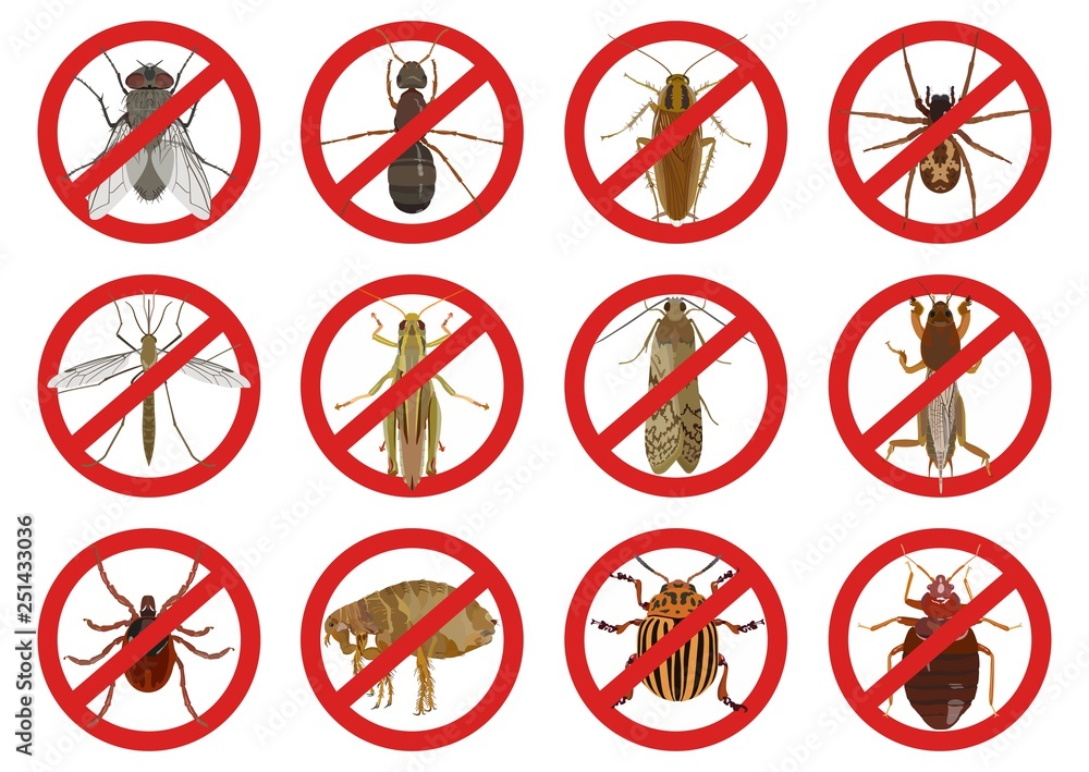 Collection of red warning signs about harmful insects. Vector ...