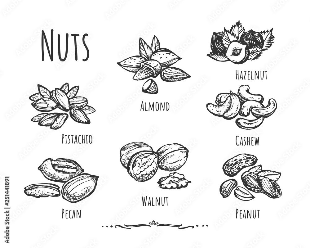 Set of various kinds of lettering nuts isolated on white Stock Vector ...