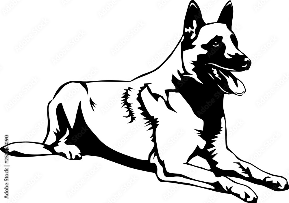 Photo & Art Print Belgian Malinois Vector Illustration, FrederickS