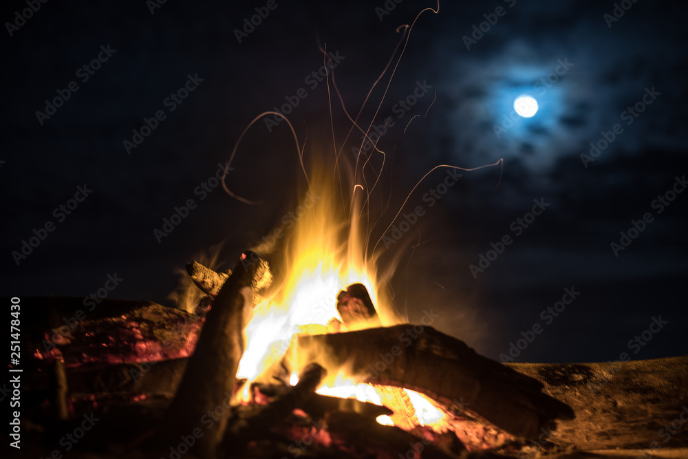 Calm fire on the beach under moon light Stock Photo | Adobe Stock